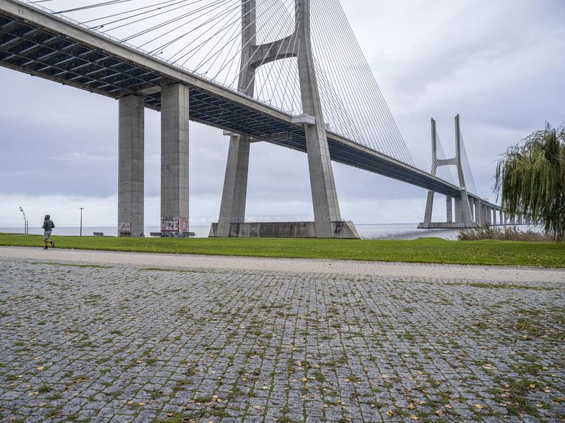 Underpass of Suspension Bridge with Road and Grass Field HDRi Maps and ...