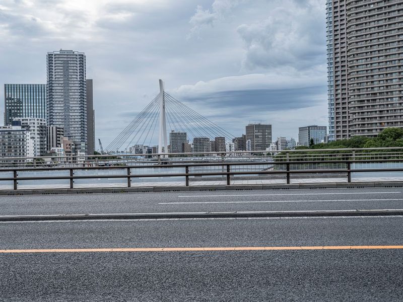 Urban City Tokyo: Grey Skyline with Bridge HDRi Maps and Backplates