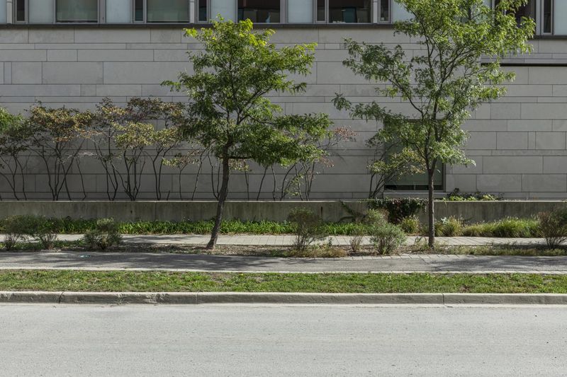 Urban Design in Canada: The Cityscape of Toronto HDRi Maps and Backplates