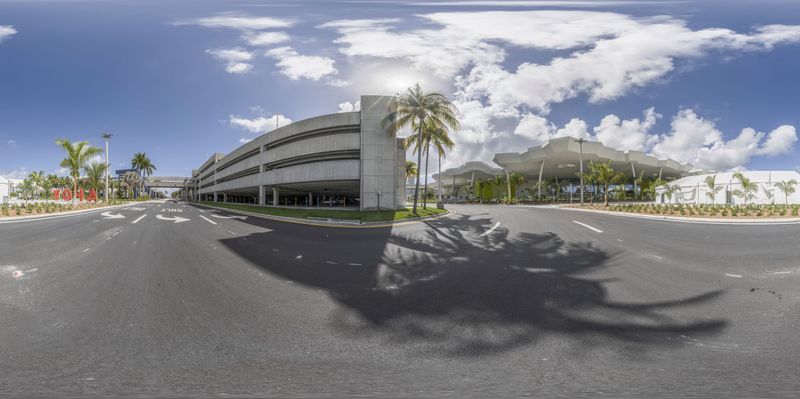Urban Design in Miami: Palm Trees and Commercial Buildings HDRi Maps ...
