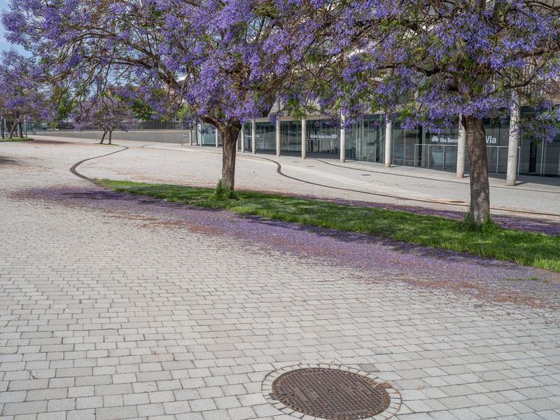 Urban Design and Open Spaces: Barcelona City Life HDRi Maps and Backplates
