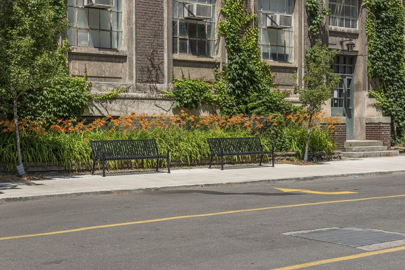 Urban Design in Toronto: A Park as Public Space HDRi Maps and Backplates