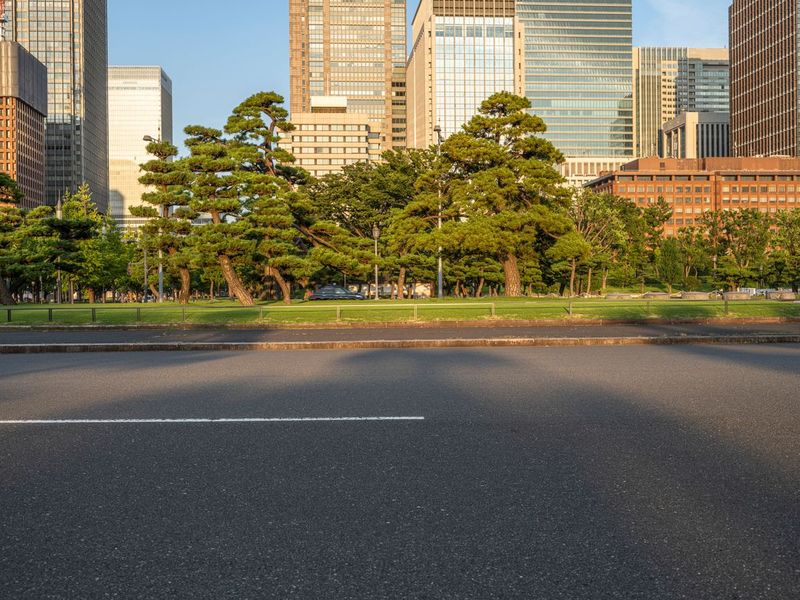 Urban Open Space near Tokyo Central Station: Skyline Views