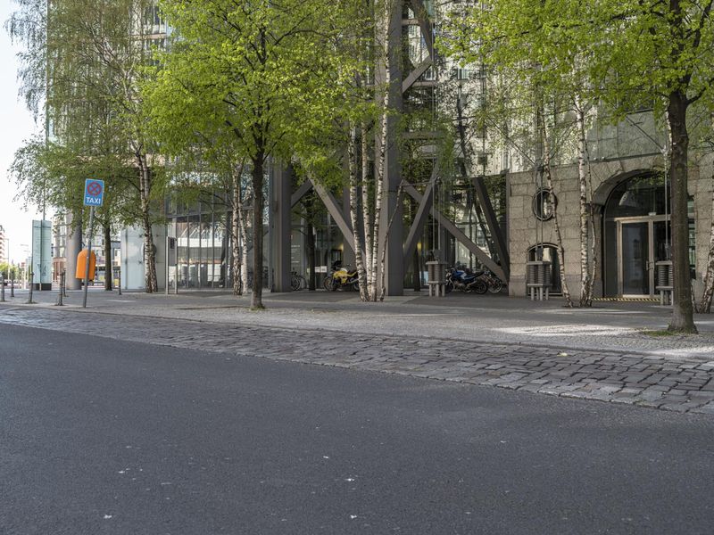 Urban Public Spaces in Berlin: Tree-Lined Streets and Parks HDRi Maps ...