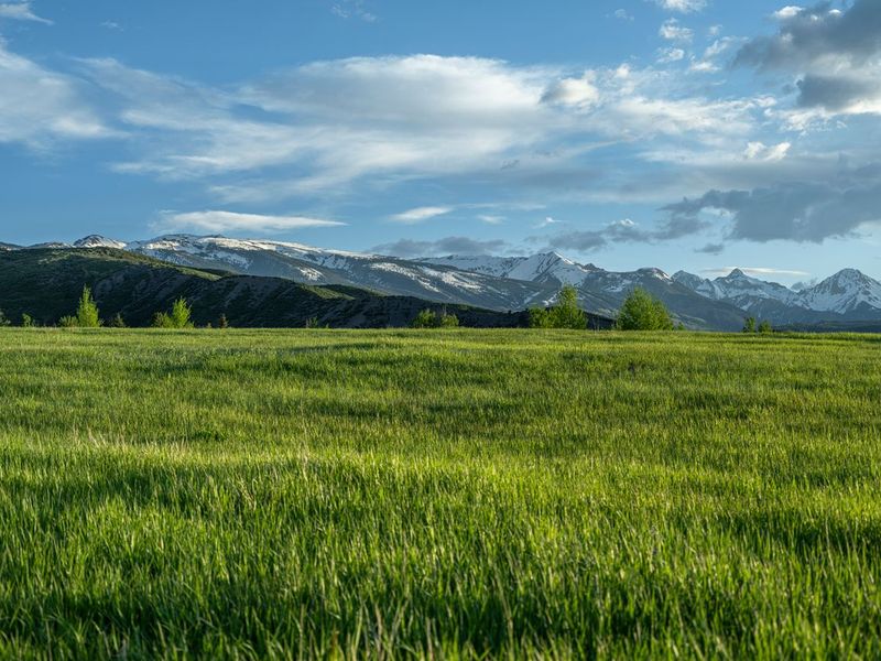 USA Agriculture: Open Spaces at Morning Dawn HDRi Maps and Backplates