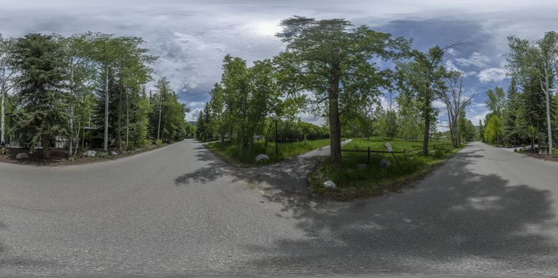Aspen Trees in USA Residential Suburbia HDRi Maps and Backplates