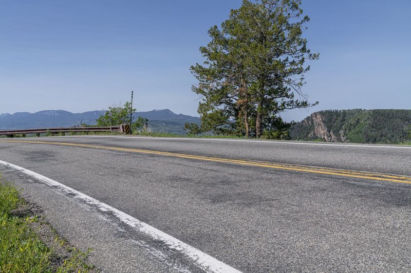 USA Asphalt Road Surrounded by Vegetation HDRi Maps and Backplates