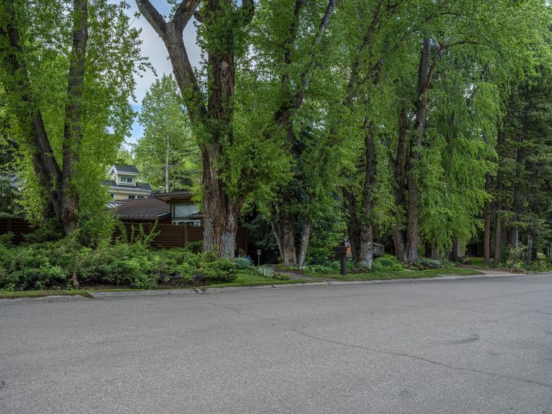 USA Daytime: Asphalt Road Surrounded by Greenery HDRi Maps and Backplates
