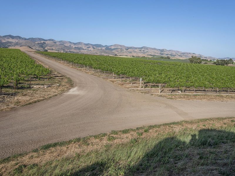 USA Dirt Road: A Green Field Thoroughfare HDRi Maps and Backplates