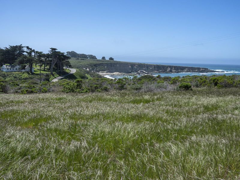 USA's Green Paradise: A Grass Field Garden Park HDRi Maps and Backplates