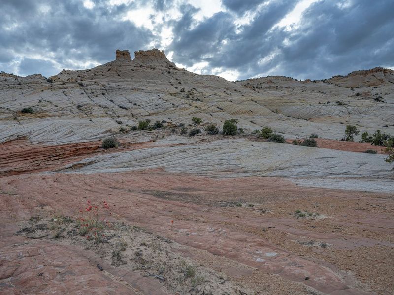 USA Landscape: Beautiful Clouds in Nature HDRi Maps and Backplates