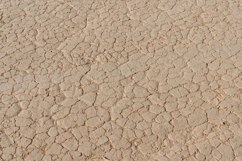USA Open Space Cracked Mud Road HDRi Maps and Backplates