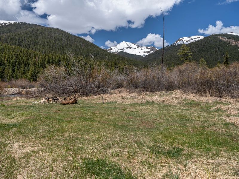 USA's Open Space: Forests, Grass, and a Serene River HDRi Maps and ...