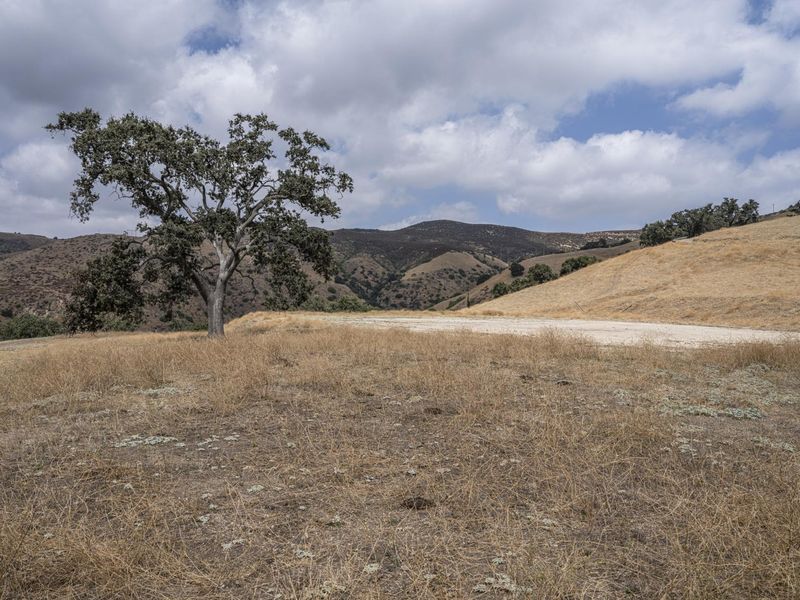 Open Space and Nature: USA's Beautiful Landscape HDRi Maps and Backplates