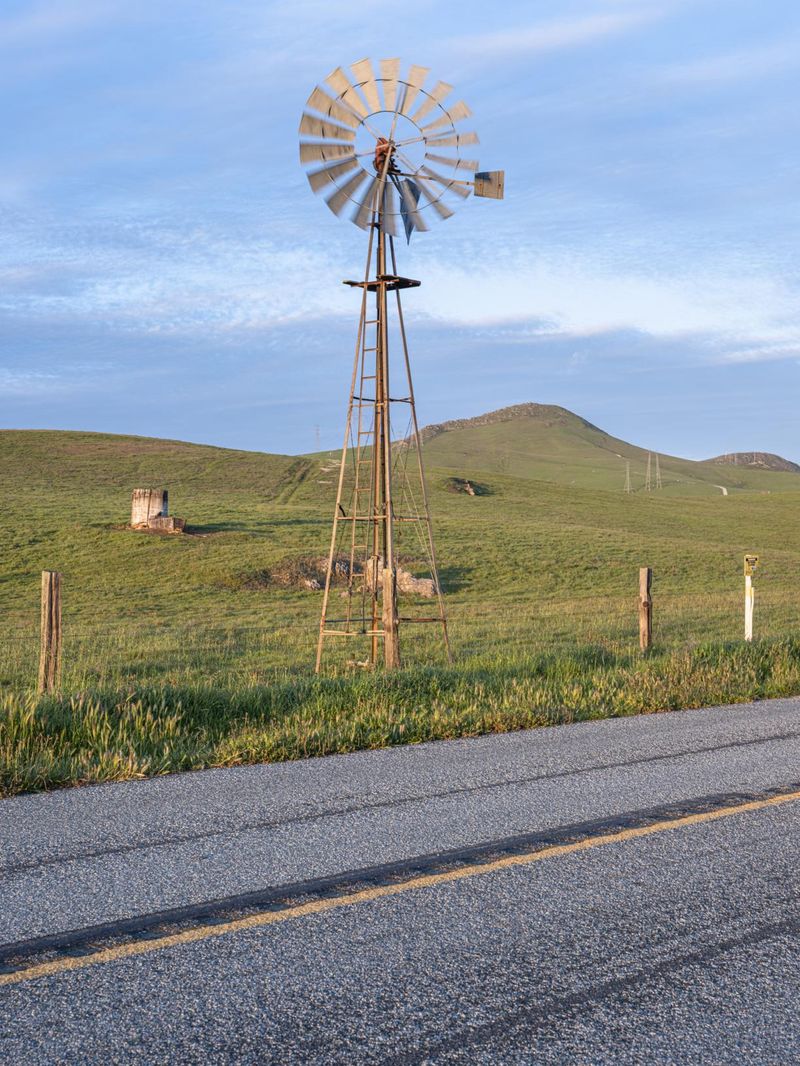 USA's Rural Road: Asphalt, Trees, and Grass Surface HDRi Maps and ...
