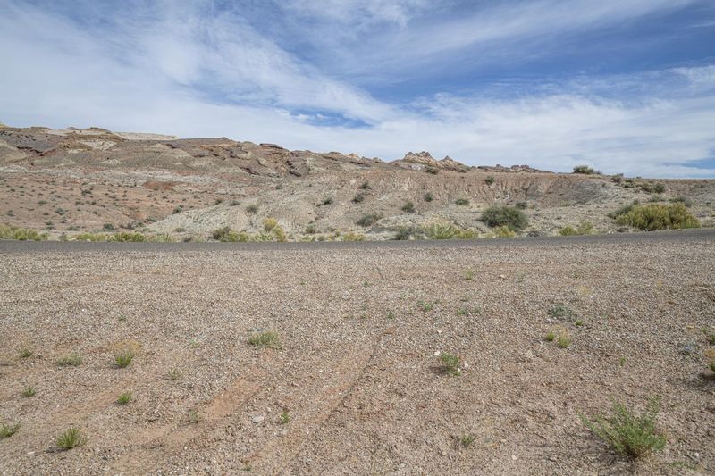 Utah Desert with Grey Sky and Subshrub HDRi Maps and Backplates