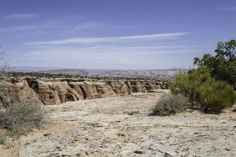 Utah Desert Landscape with Mountain and Tree HDRi Maps and Backplates