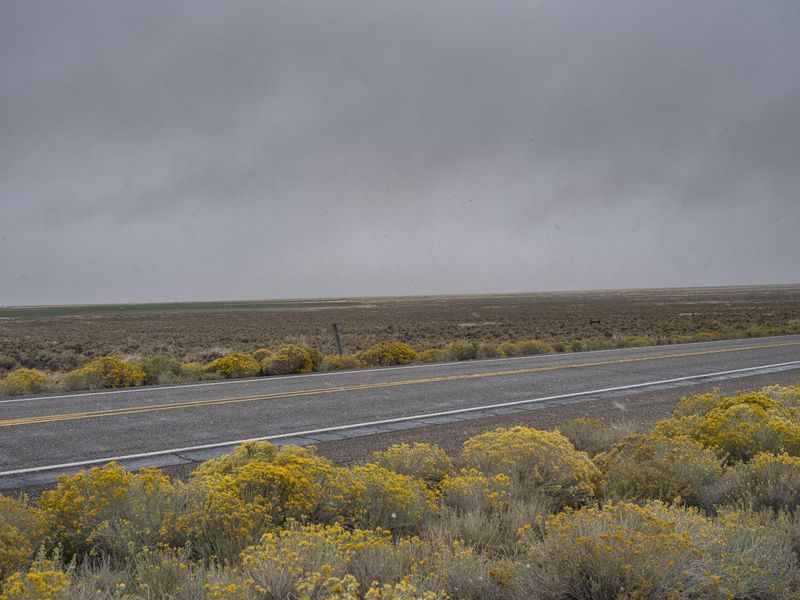 Utah Desert Road: Exploring the Vast Prairie Landscape HDRi Maps and ...