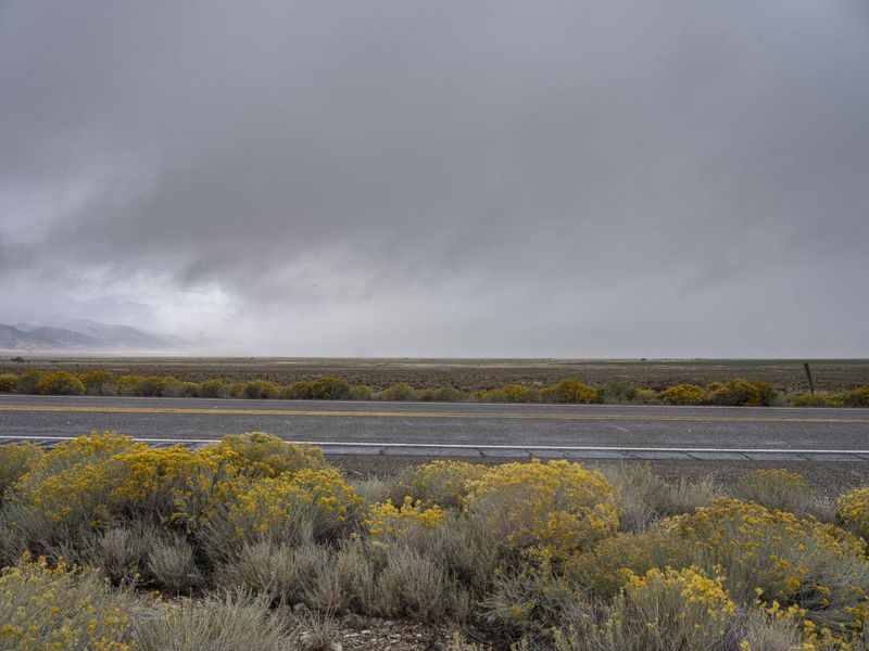 Utah Landscape: Nature at High Elevation HDRi Maps and Backplates