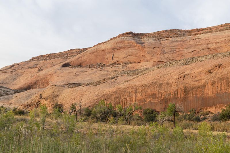 Utah Mountain Grass Open Space Nature HDRi Maps and Backplates