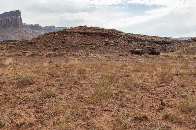Utah Mountain Terrain: A Grassy Slope Amidst the Mountains HDRi Maps ...