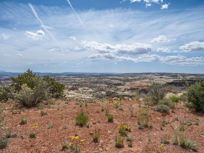 Utah Nature Overlook: A Blend of Dirt and Gravel Surface HDRi Maps and ...