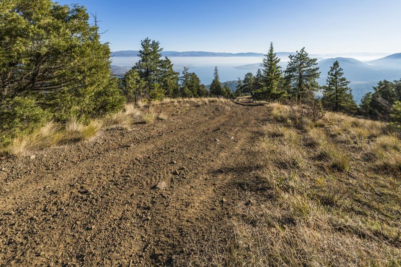 A Water and Dirt Path in the Canadian Wilderness HDRi Maps and Backplates