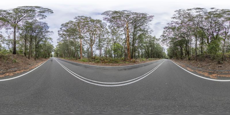 Wide Suburban Road: Lined with Trees and Grass HDRi Maps and Backplates