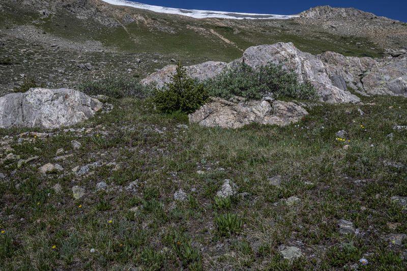 Exploring the Wilderness of Colorado's Mountain Range HDRi Maps and ...