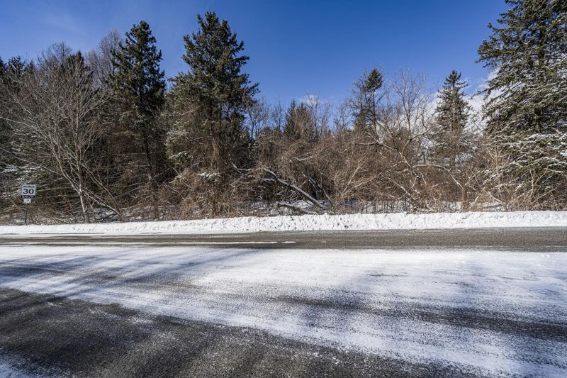 Winter Forest in Toronto, Canada HDRi Maps and Backplates