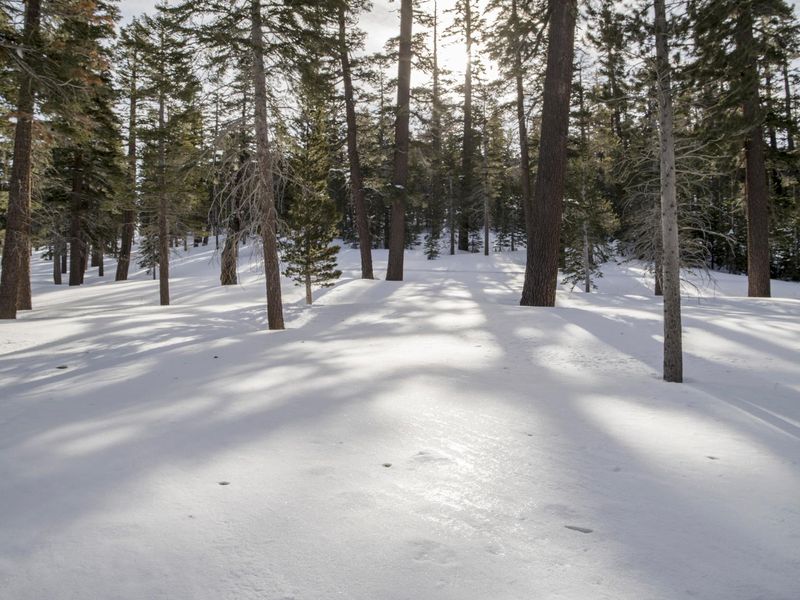 Winter Landscape in Mammoth Lake, California, USA HDRi Maps and Backplates