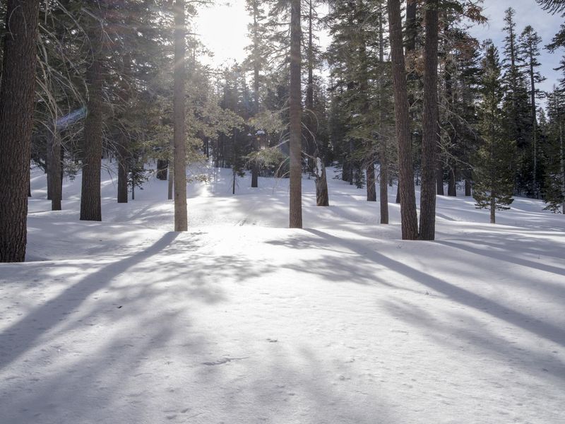 Winter Scenery in Mammoth Lake, California, USA HDRi Maps and Backplates