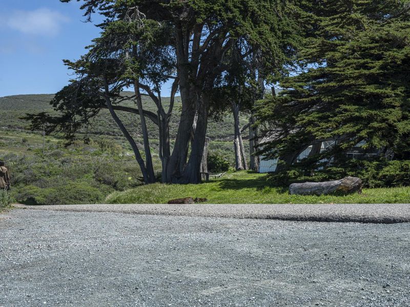 Woman Walking Past Trees on a Road in California, USA HDRi Maps and ...