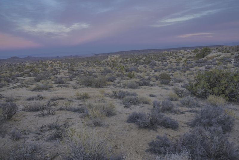 Yucca Valley California Desert Landscape - HDRi Maps and Backplates