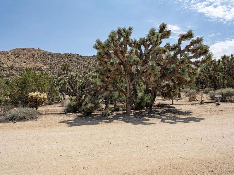 Yucca Valley Road: Off-Road Rural HDRi Maps and Backplates