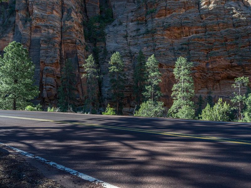 Road in Zion National Park, Utah HDRi Maps and Backplates